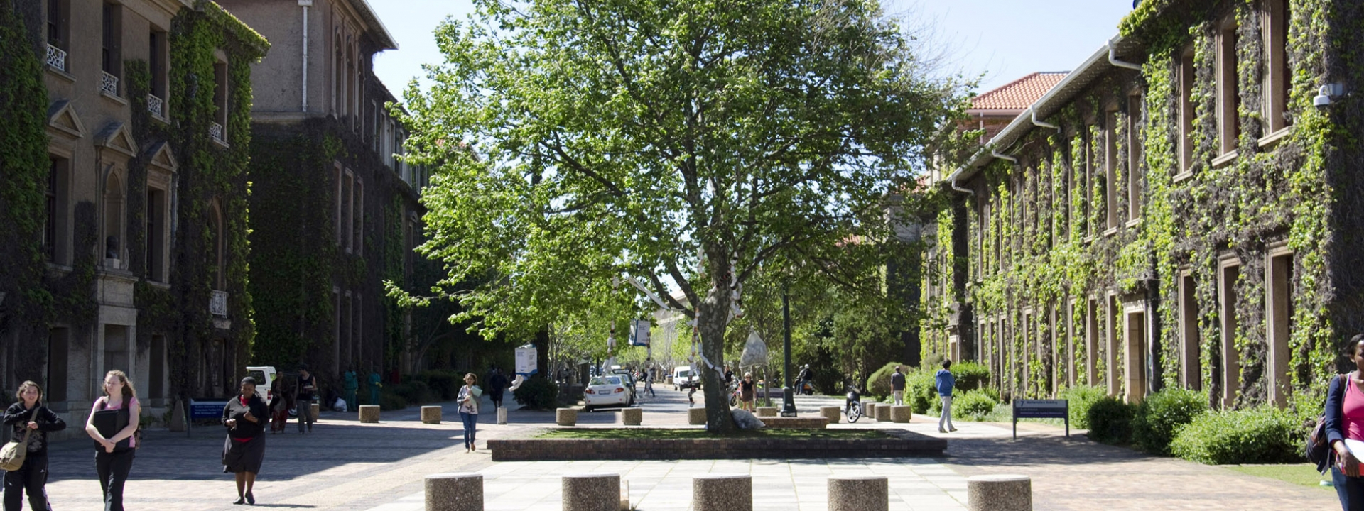 Contact Us | Faculty of Science