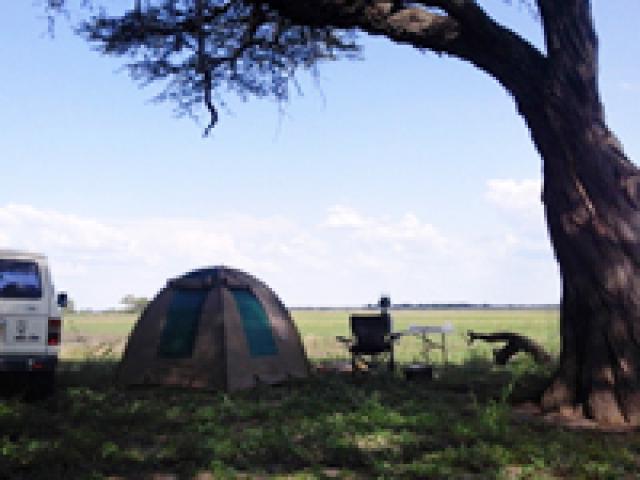 Focus on Fire in the savanna-woodlands of Bwabwata National Park, north ...