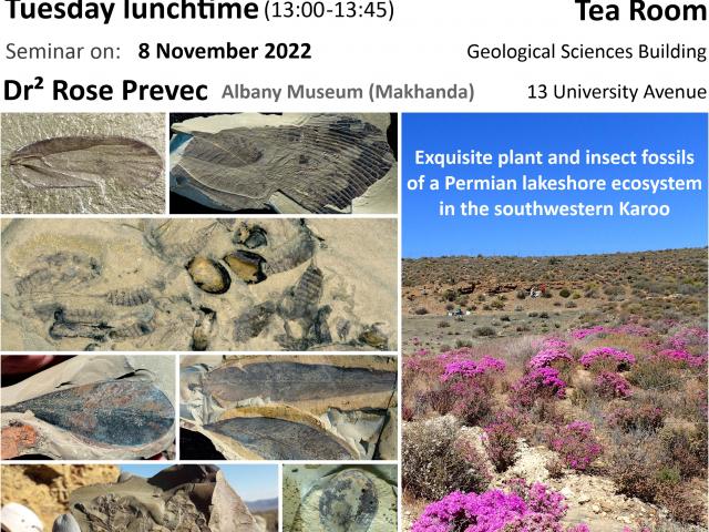 Seminar by Dr Rose Prevec | Geological Sciences
