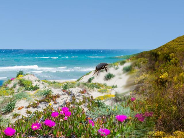 Research Overview | University of Cape Town